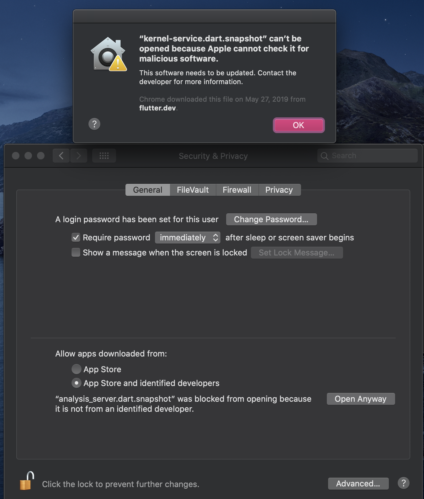 Cant Open Dart Extension In Vs Code After Upgrading To Macos Catalina