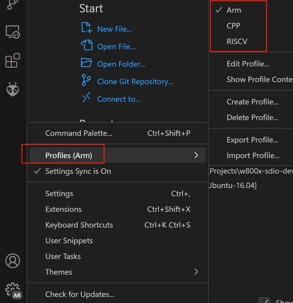 'env' option of 'terminal.integrated.automationProfile' not working · Issue #493 · microsoft ...