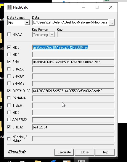GitHub - alubin03/Malware_Anaysis_Lab