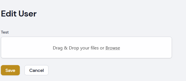 Problem With Fileupload In Custom Form On Page · Issue 1498 · Filamentphpfilament · Github