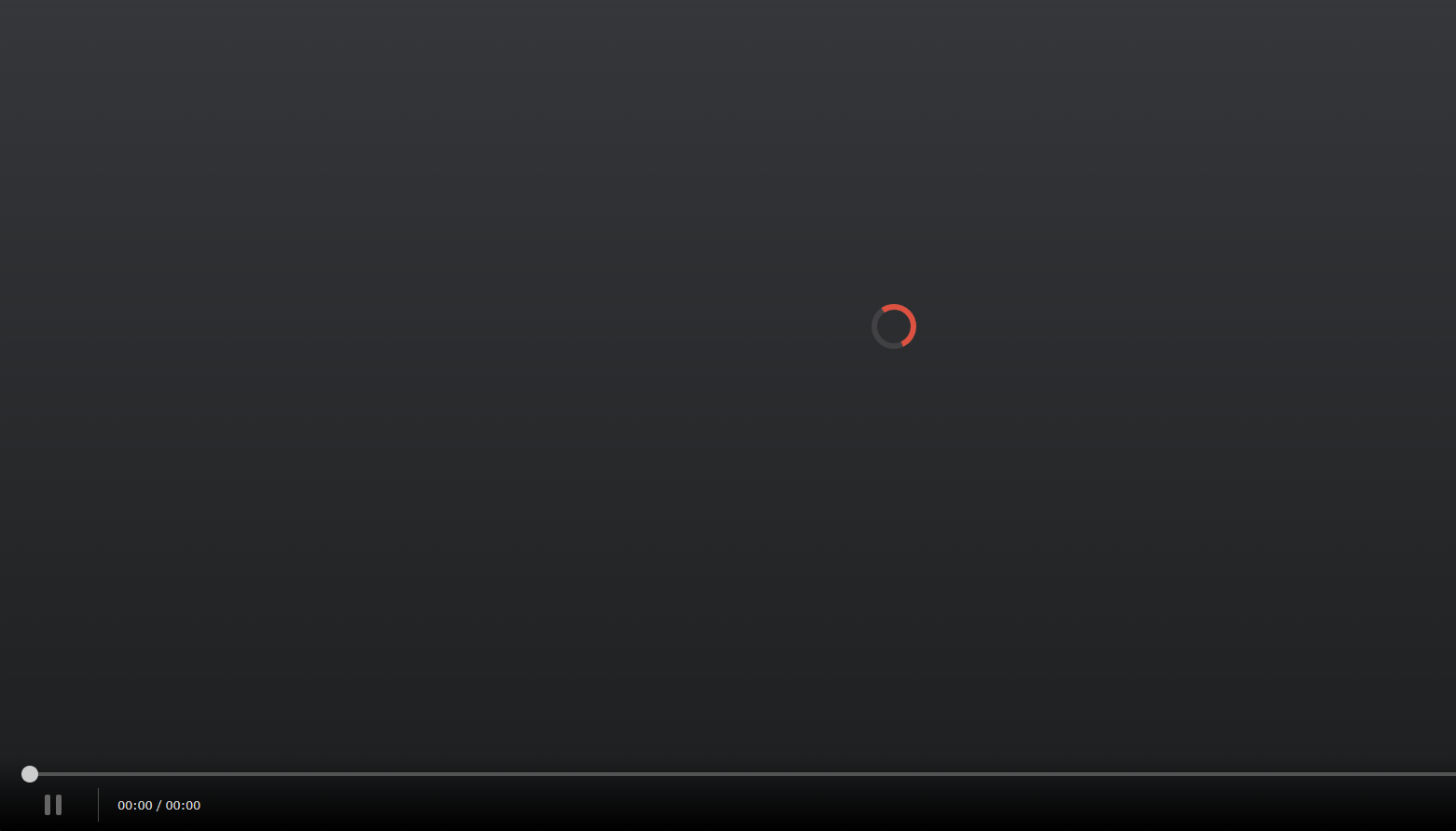Bug Videos Hevc 4k 71 Audio Codecs Doesnt Work · Issue 81