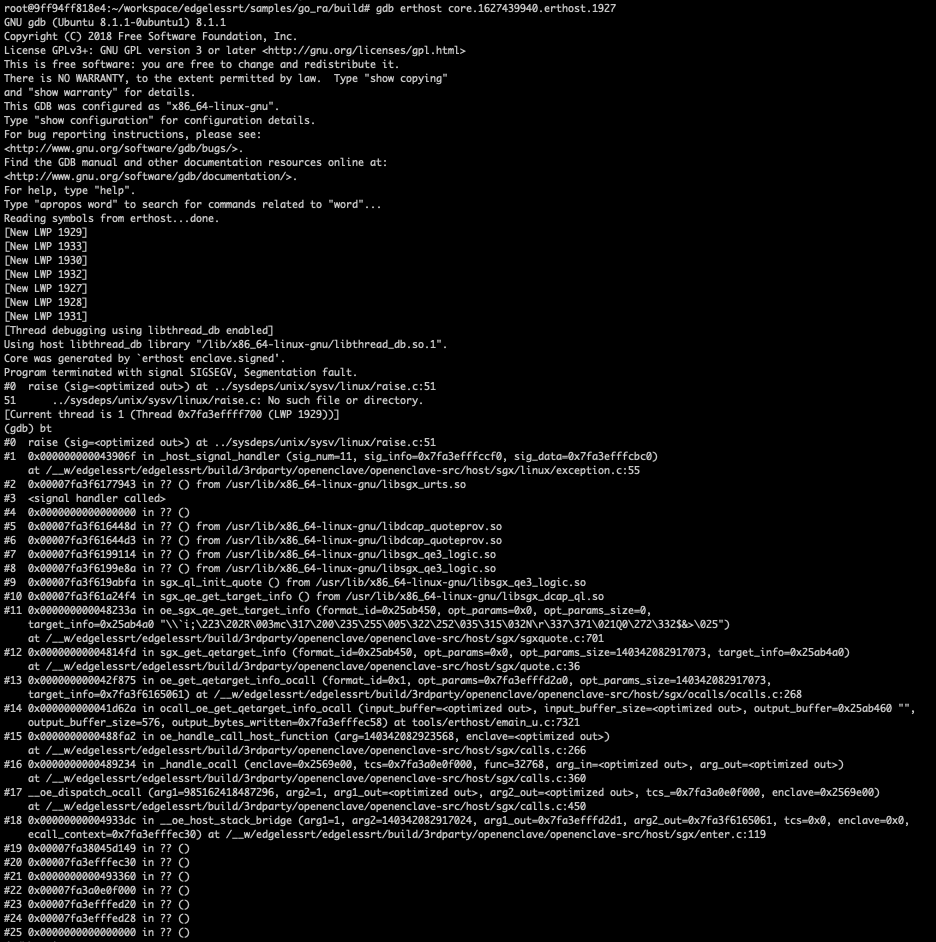 coredump in sample:go_ra (v0.2.5) · Issue #75 · edgelesssys/edgelessrt · GitHub