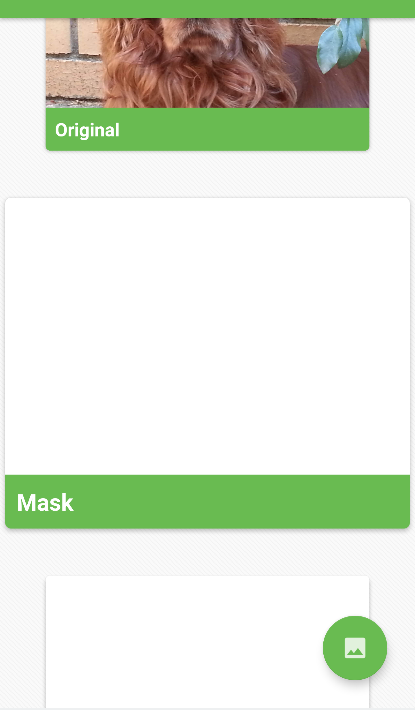 TFLite GPU delegate produces very different results · Issue #28563 · tensorflow/tensorflow · GitHub