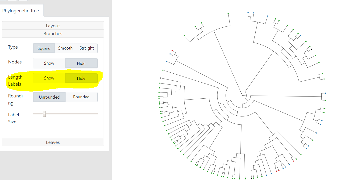 Phylogenetic Tree - Branch length label resets on application of color ...