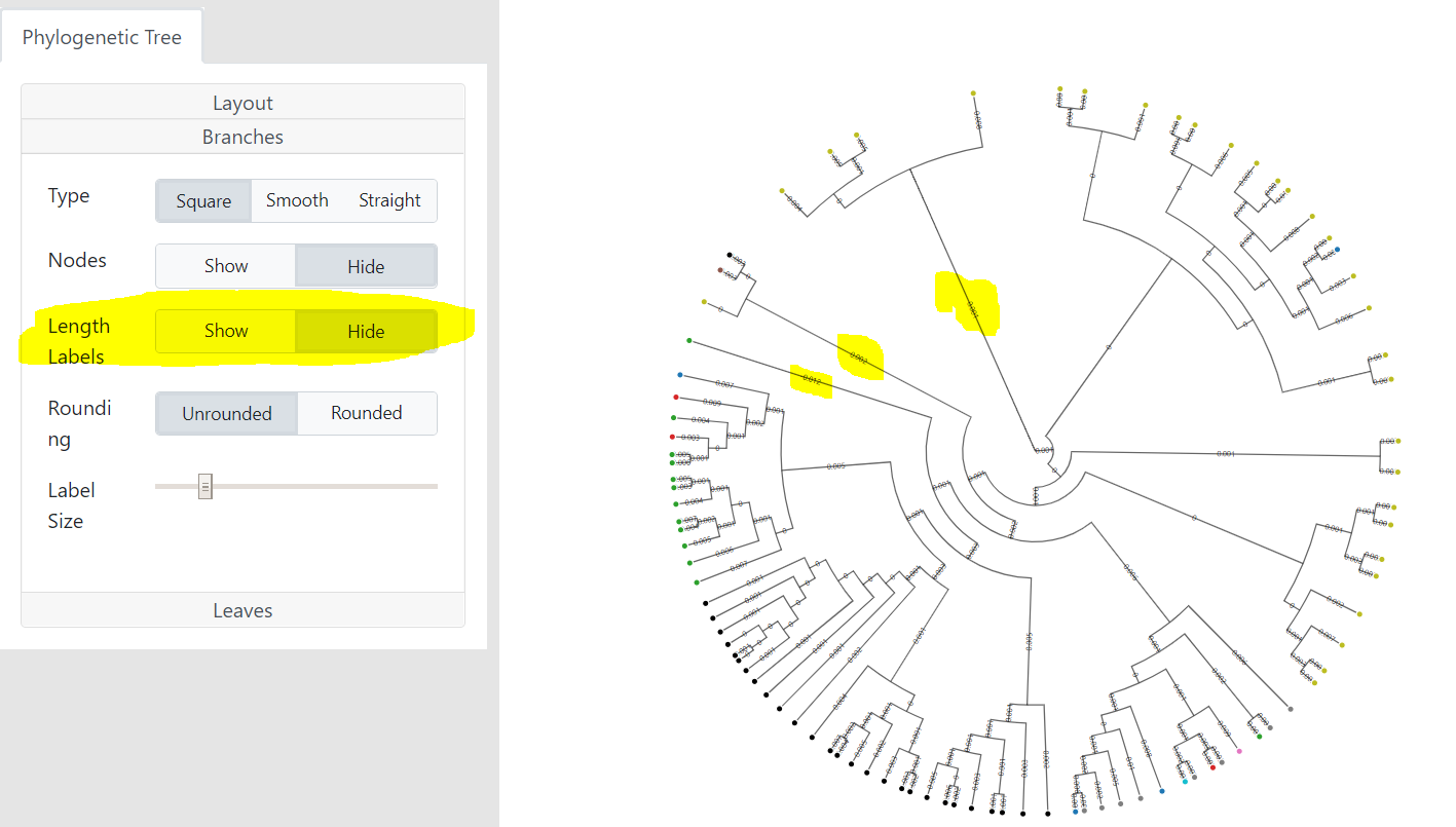 Phylogenetic Tree - Branch length label resets on application of color ...