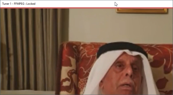 Winforms Resizing · Issue #290 · SuRGeoNix/Flyleaf · GitHub