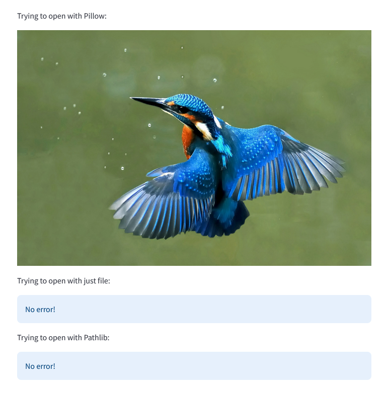 st.image not working · Issue #7493 · streamlit/streamlit · GitHub