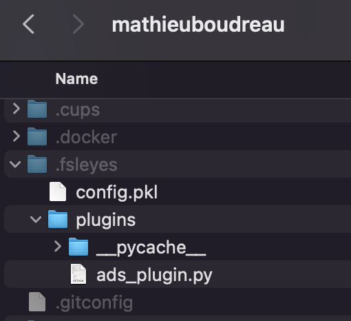 Shimming-Toolbox not appearing in FSLeyes after installation · shimming-toolbox shimming-toolbox ...