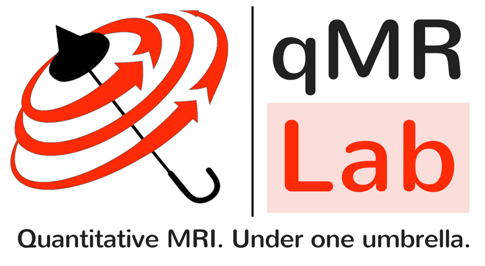 Hi-res qMRLab logo · Issue #486 · qMRLab/qMRLab · GitHub