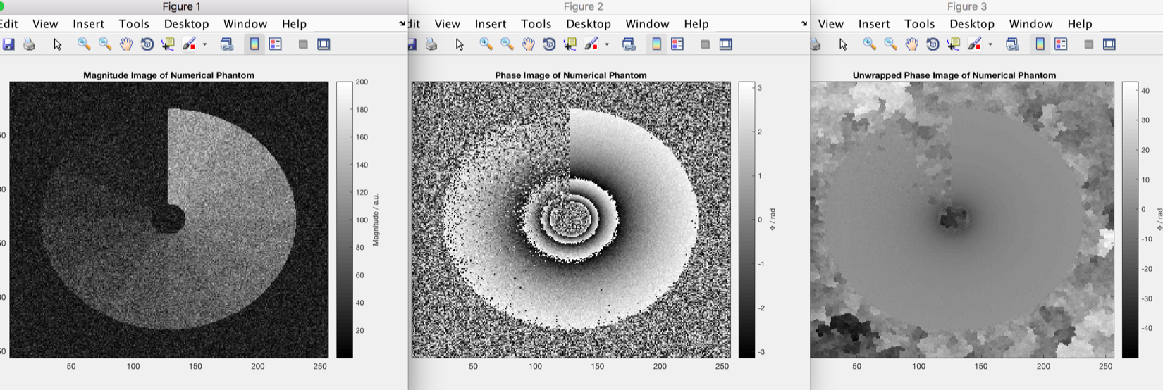 B0 mapping: Phase unwrapping · Issue #48 · qMRLab/qMRLab · GitHub