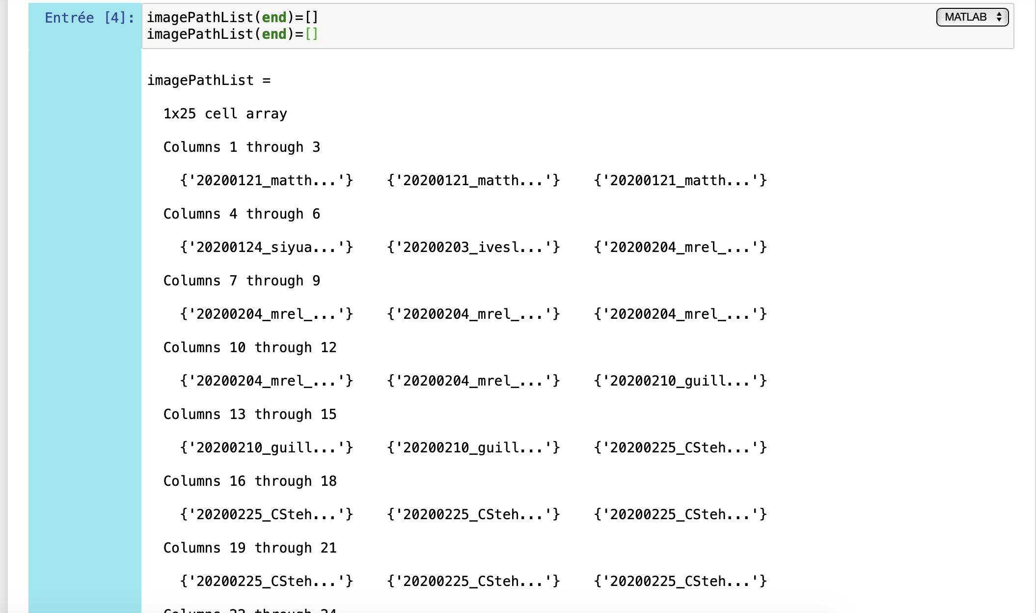 Bug for long arrays of strings in MATLAB but not Octave · Issue #9 · vatlab/sos-matlab · GitHub