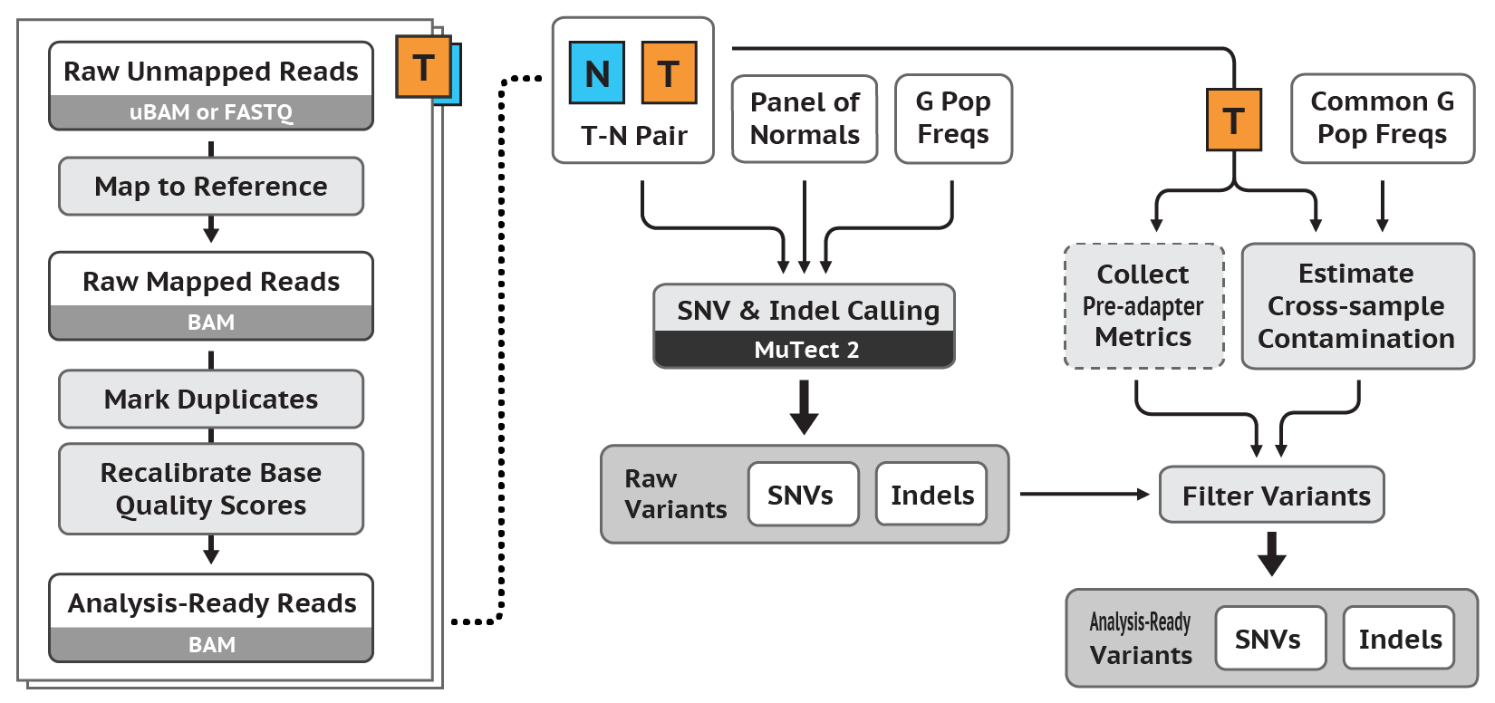 Executing the GATK Best Practices Somatic SNPs & Indels Workflow on O2 · GitHub