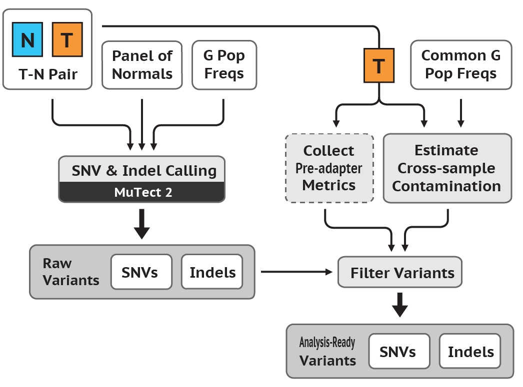 Executing the GATK Best Practices Somatic SNPs & Indels Workflow on O2 · GitHub