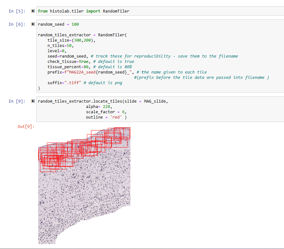 RandomTiler issue with tissue_percent parameter · Issue #611 · histolab/histolab · GitHub