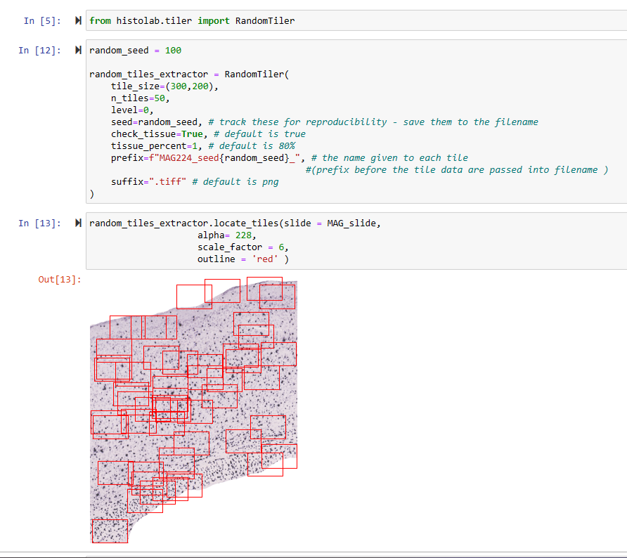 RandomTiler issue with tissue_percent parameter · Issue #611 · histolab/histolab · GitHub
