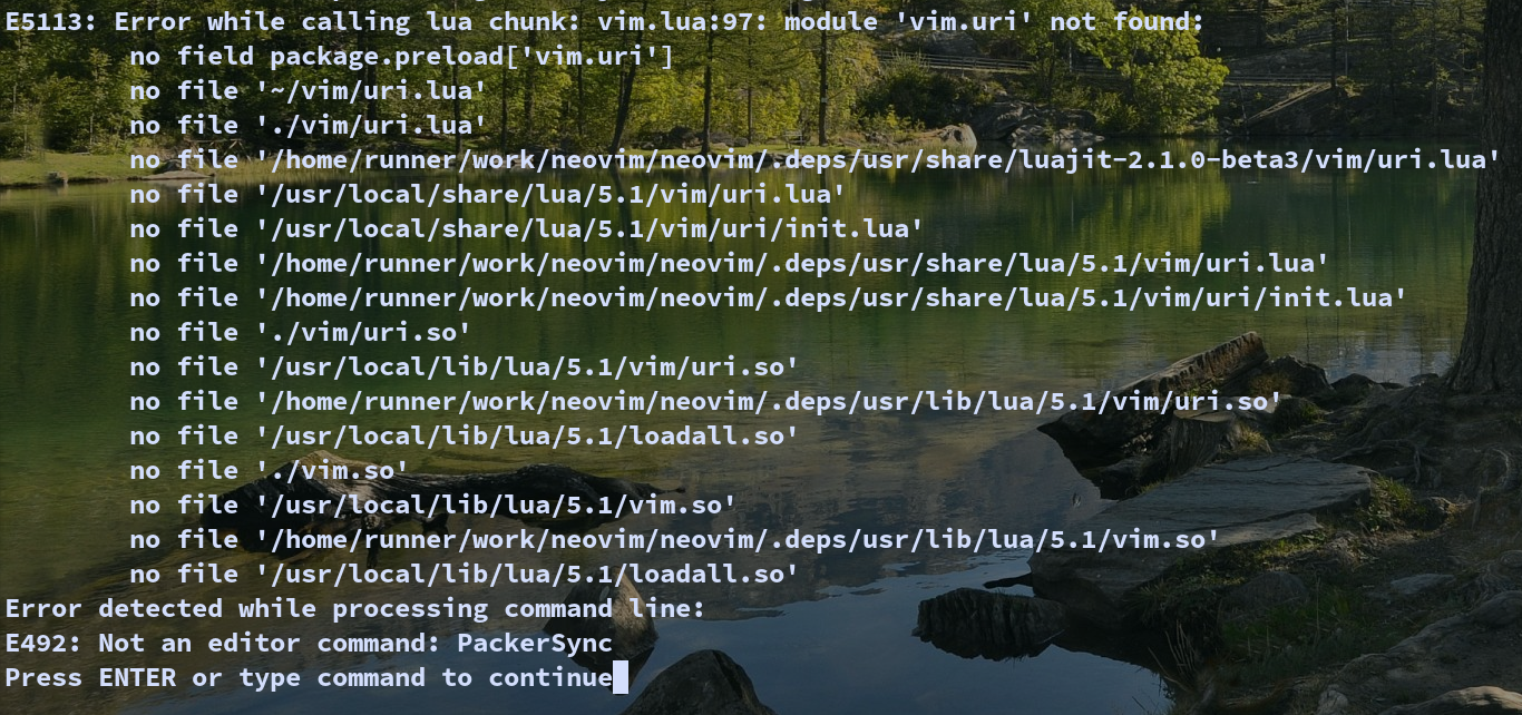 [Bug]: run nvim error · Issue #1676 · LunarVim/LunarVim · GitHub