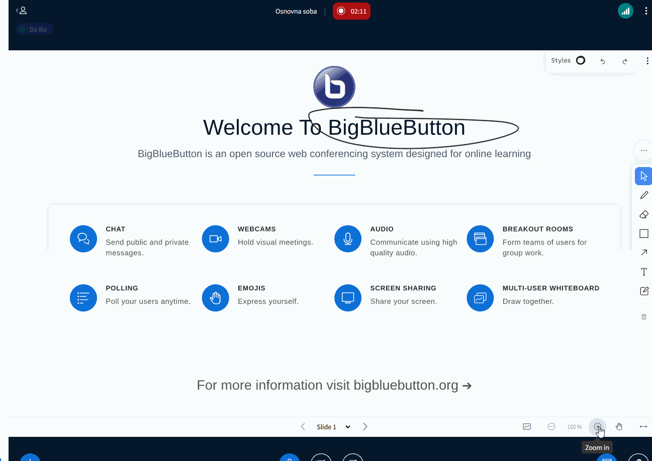 2.6 RC1 Pan (tool) not working · Issue #16591 · bigbluebutton/bigbluebutton · GitHub