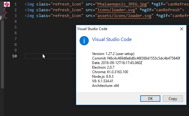 Bug on vscode 1.27.2 x64 - windows 10 x64 - 1803 · Issue #20 · kisstkondoros/gutter-preview · GitHub