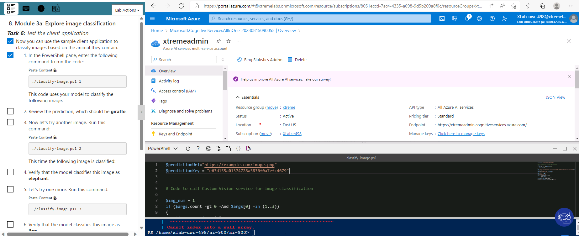 Classifying the images in powershell · Issue #39 · MicrosoftLearning/AI-900-AIFundamentals · GitHub