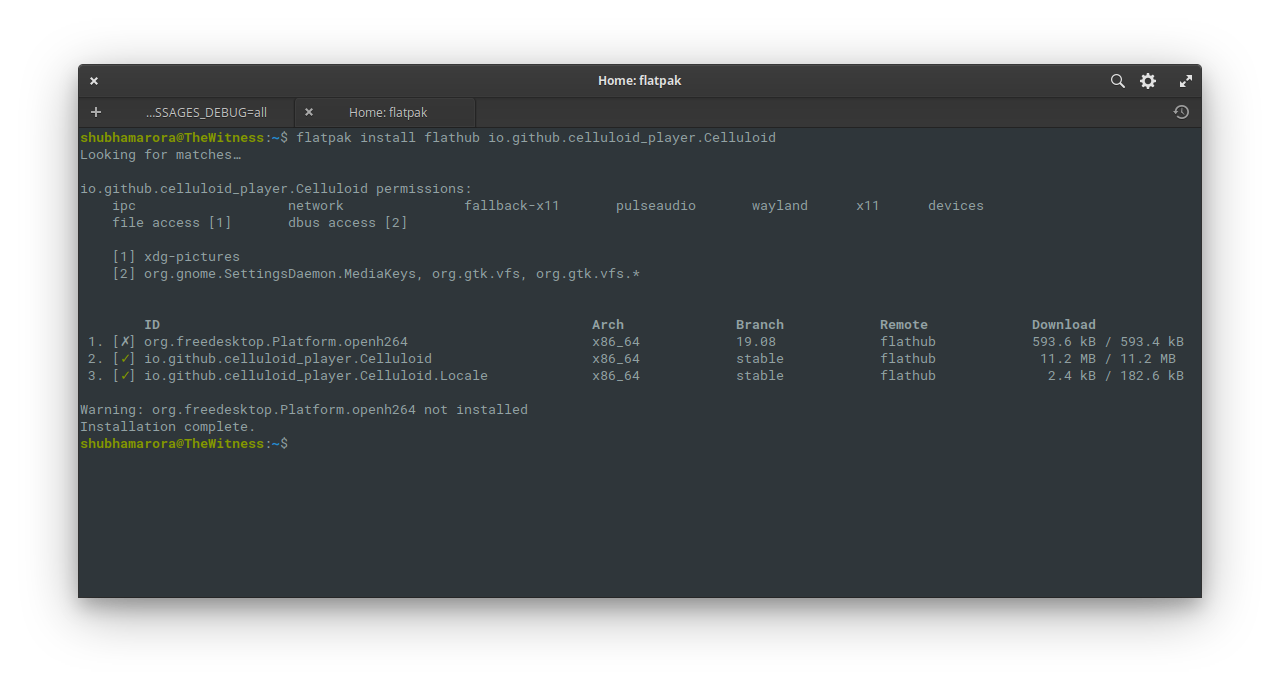 Flatpak installation fatally fails if there is an error during installtion of optional extension ...