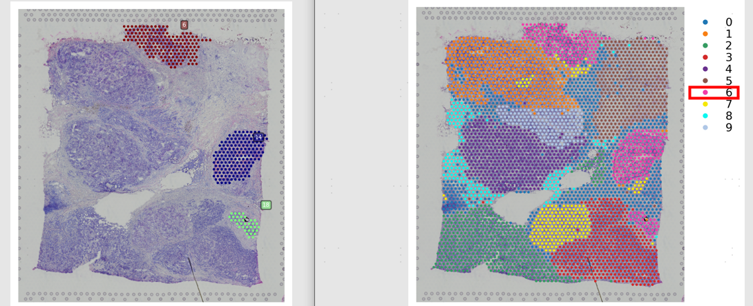 about "st.pl.trajectory.tree_plot" problem · Issue #247 · BiomedicalMachineLearning/stLearn · GitHub