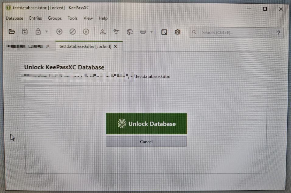 Unlock/Main Window content enlarged after Win10 standby/hibernate · Issue #9750 · keepassxreboot ...