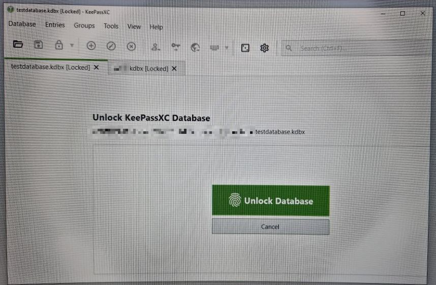 Unlock/Main Window content enlarged after Win10 standby/hibernate · Issue #9750 · keepassxreboot ...