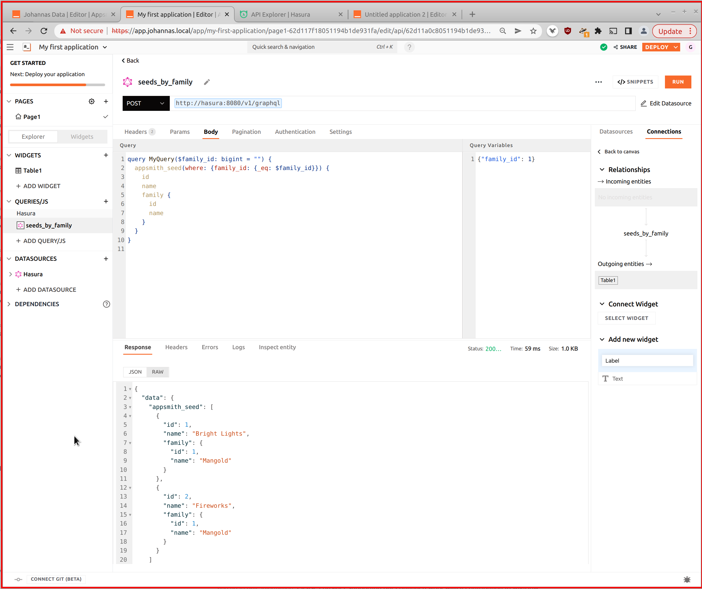 [Epic] Native GraphQL Integration · Issue #2284 · appsmithorg/appsmith · GitHub