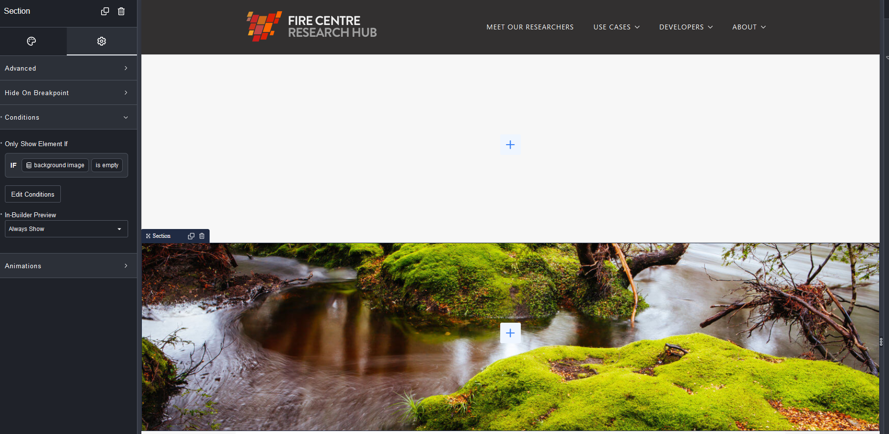 Conditional not working on "is empty" · Issue #509 · soflyy/breakdance-bugs · GitHub