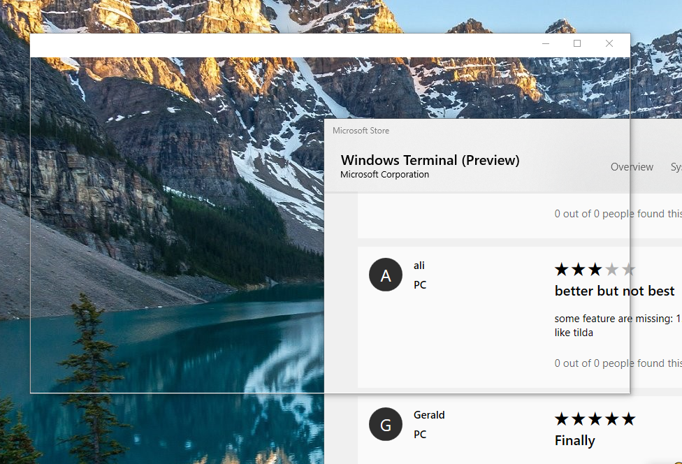 Bug Report - Jun 2019 Terminal Preview only draws window frame · Issue ...