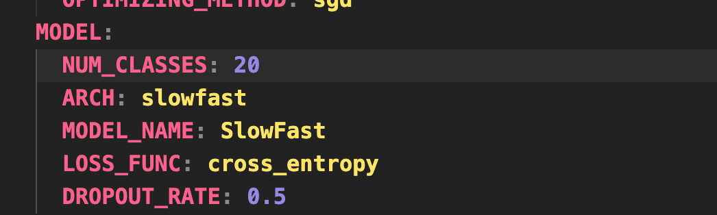 Training on new dataset · Issue #162 · facebookresearch/SlowFast · GitHub