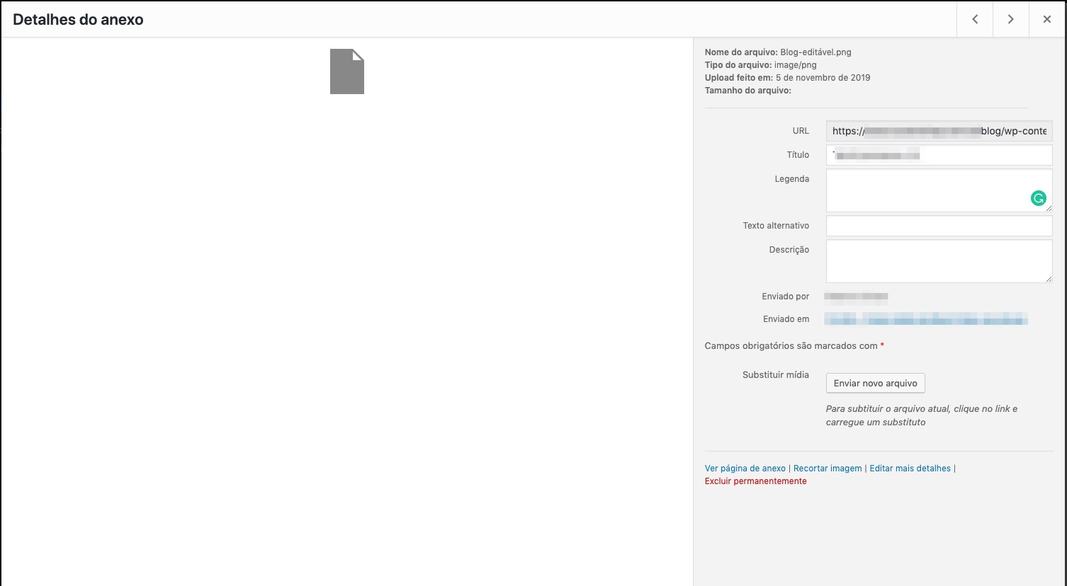 Regenerate thumbnail url location · Issue #104 · Interfacelab/ilab-media-tools · GitHub