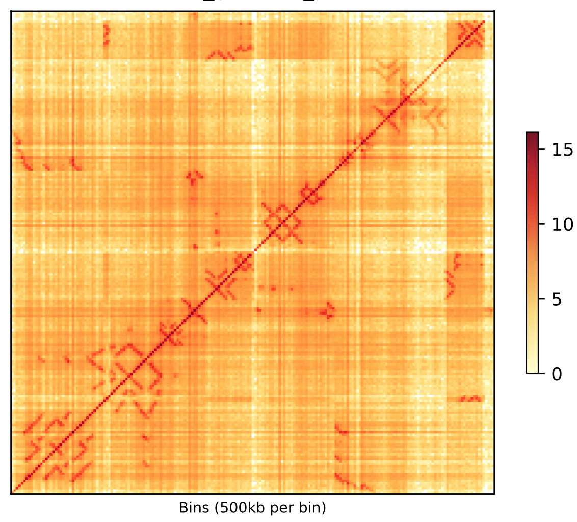 Scaffolding the autotetraploid genome · Issue #169 · tangerzhang/ALLHiC ...