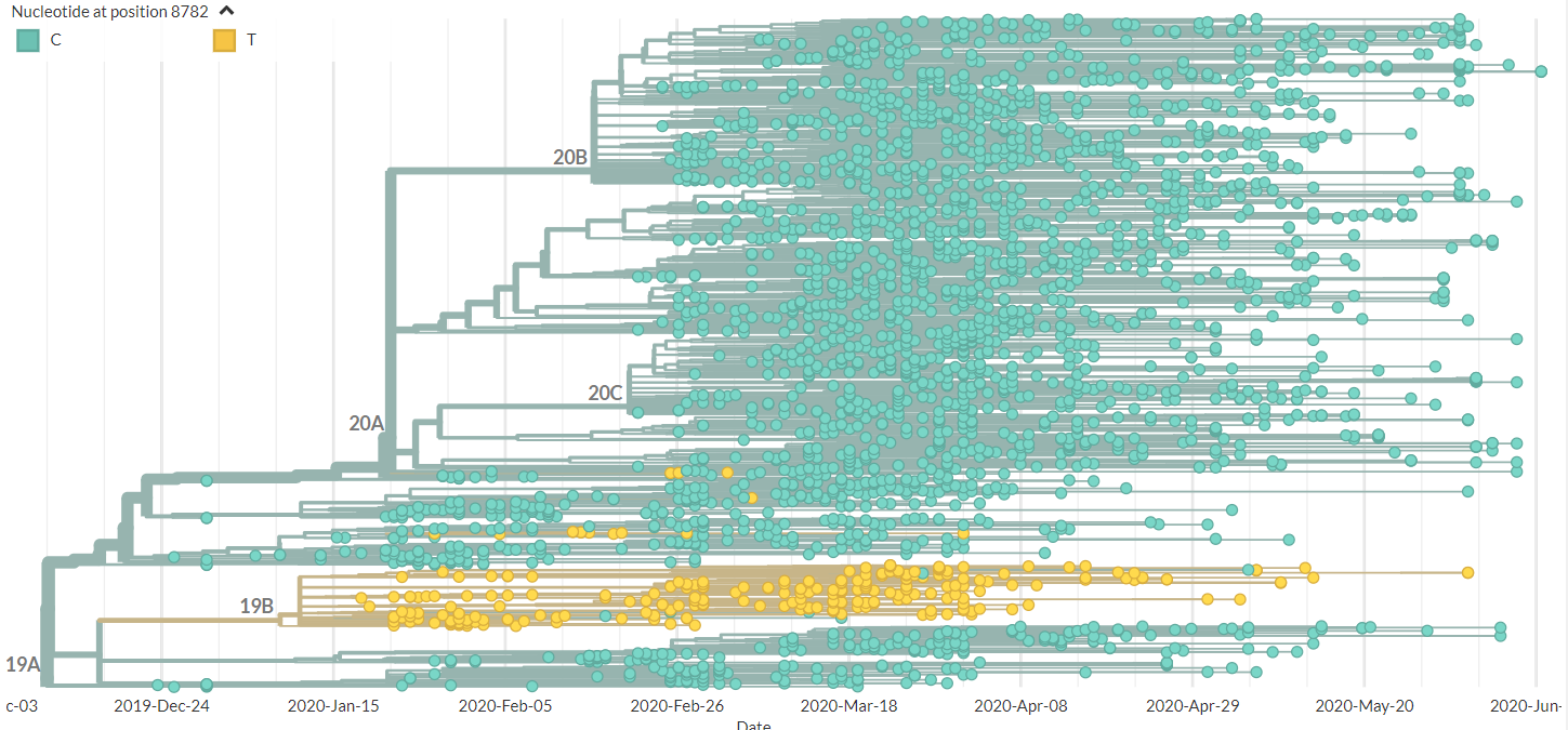 [BUG] clade analysis · Issue #439 · nextstrain/ncov · GitHub