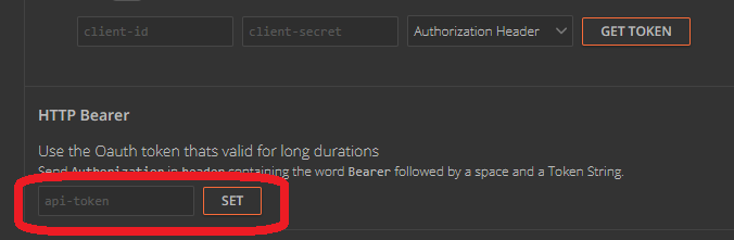 How To Set The Api Key Programmatically When More Than One Auth Schema Type Is Used · Issue 492