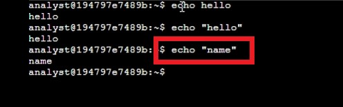 GitHub - Jacobvillagomez1/Activity-Examine-Input-and-Output-In-Shell