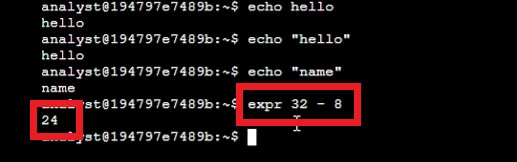 GitHub - Jacobvillagomez1/Activity-Examine-Input-and-Output-In-Shell