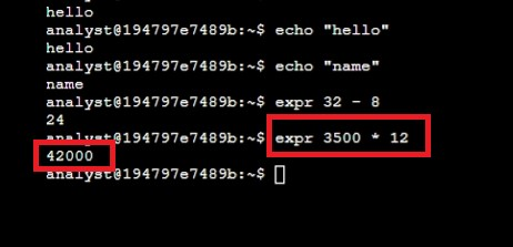 GitHub - Jacobvillagomez1/Activity-Examine-Input-and-Output-In-Shell
