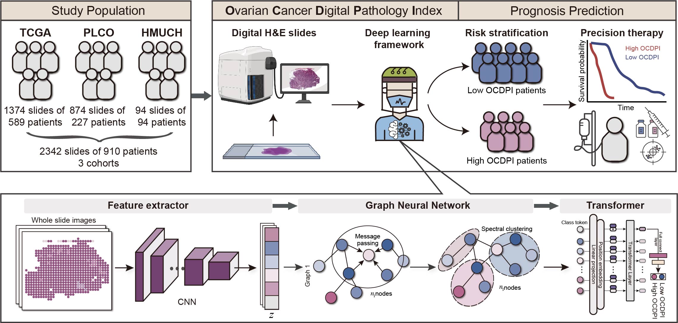 GitHub - ZhoulabCPH/OCDPI