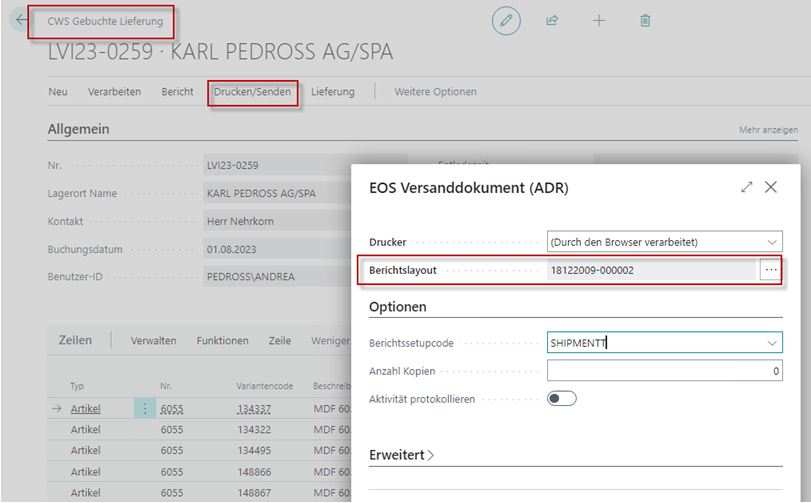 Custom Report Layout per CWS · Issue #238 · EOS-Solutions/IDEAS · GitHub