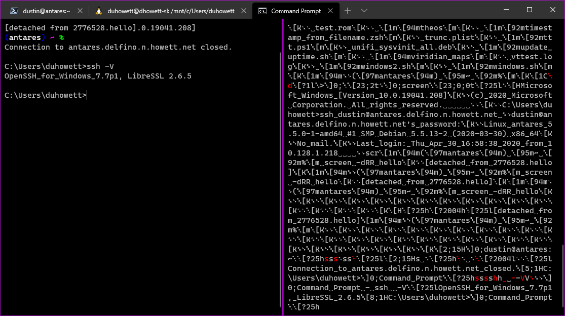 Screen text is not invalidated on "screen" detached · Issue #5646 · microsoft/terminal · GitHub