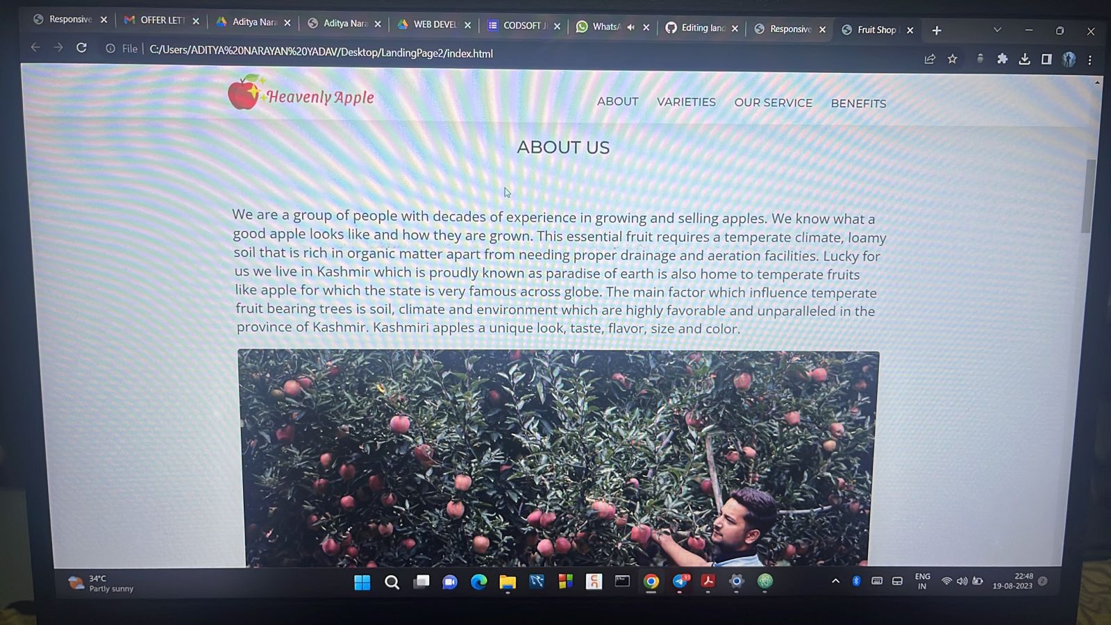 GitHub - kartikp19/landingpage: Codsoft