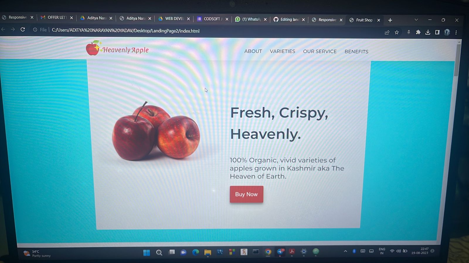 GitHub - kartikp19/landingpage: Codsoft