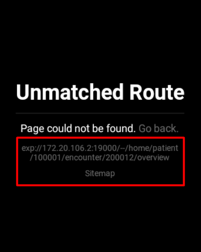 [Unmatched Route] issue when trying to navigate to the other screen in expo go app · Issue ...
