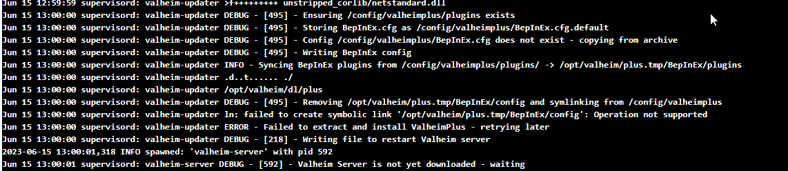 Activate plugins -- Valheim Server is not yet downloaded · Issue #634 · lloesche/valheim-server ...