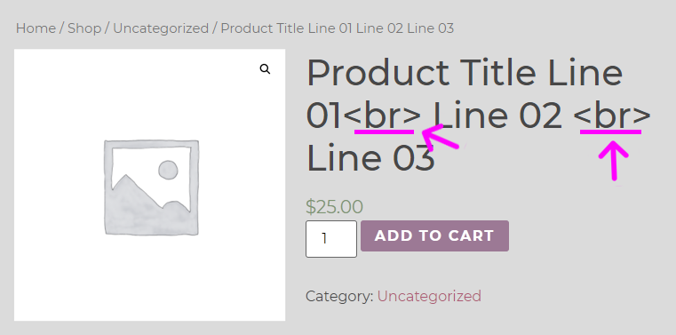 Html Tags Example Show In Some Post Product Title Displays · Issue 12318 · Elementor