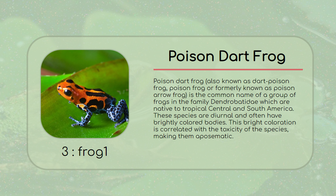 GitHub - theleshe/frog_and_toad: Social network for frogs and toads in HTML + CSS + PHP
