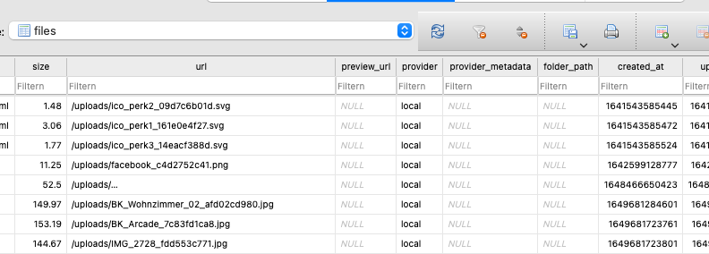Update v4.11.1 to v4.11.4 breaks uploads · Issue #17228 · strapi/strapi · GitHub