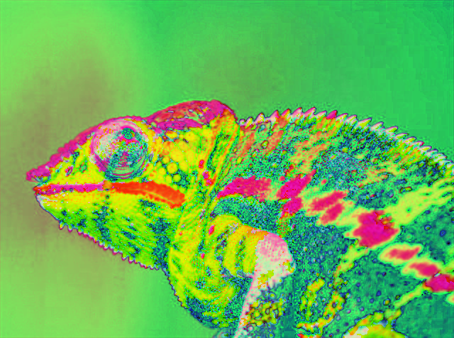 GitHub - Jerrold026/Group4_OpenCv