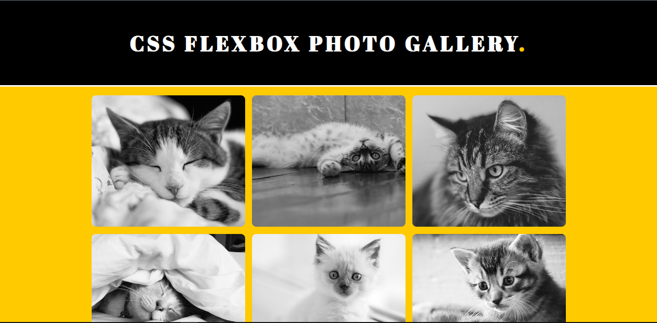 GitHub - asad-sharif/CSS-Flexbox: CSS Flexbox Photo Gallery GitHub - asad-sharif/CSS-Flexbox: CSS Flexbox Photo Gallery